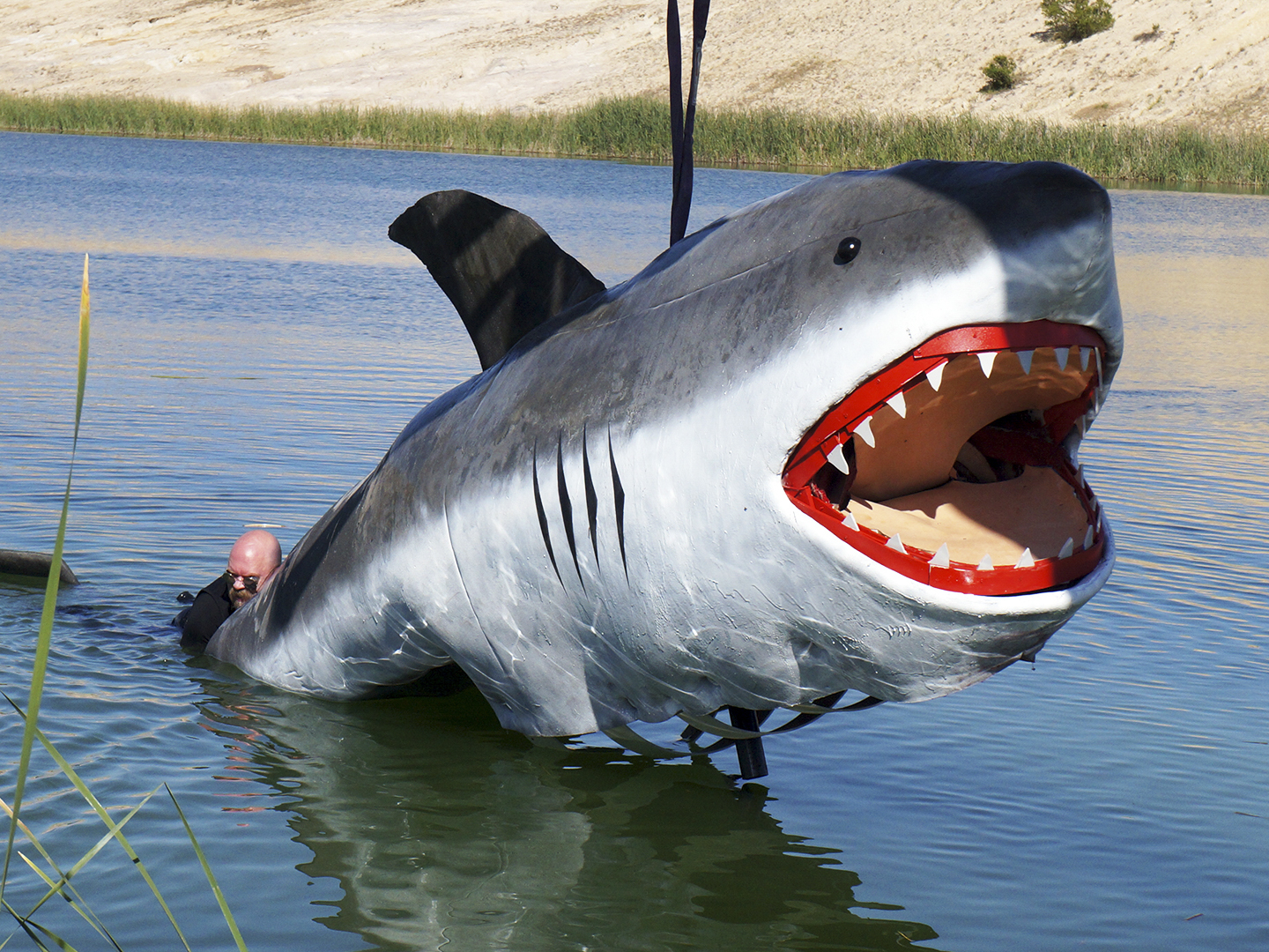 Prime Video: MythBusters - Season 18