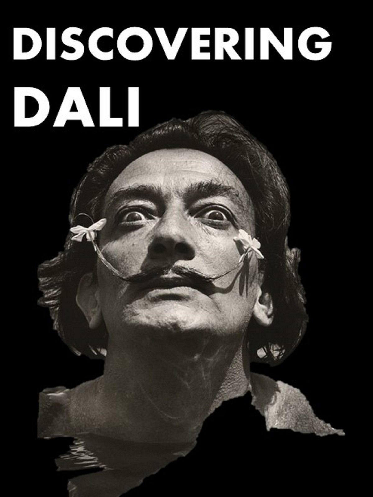 Prime Video: Discovering - Dali