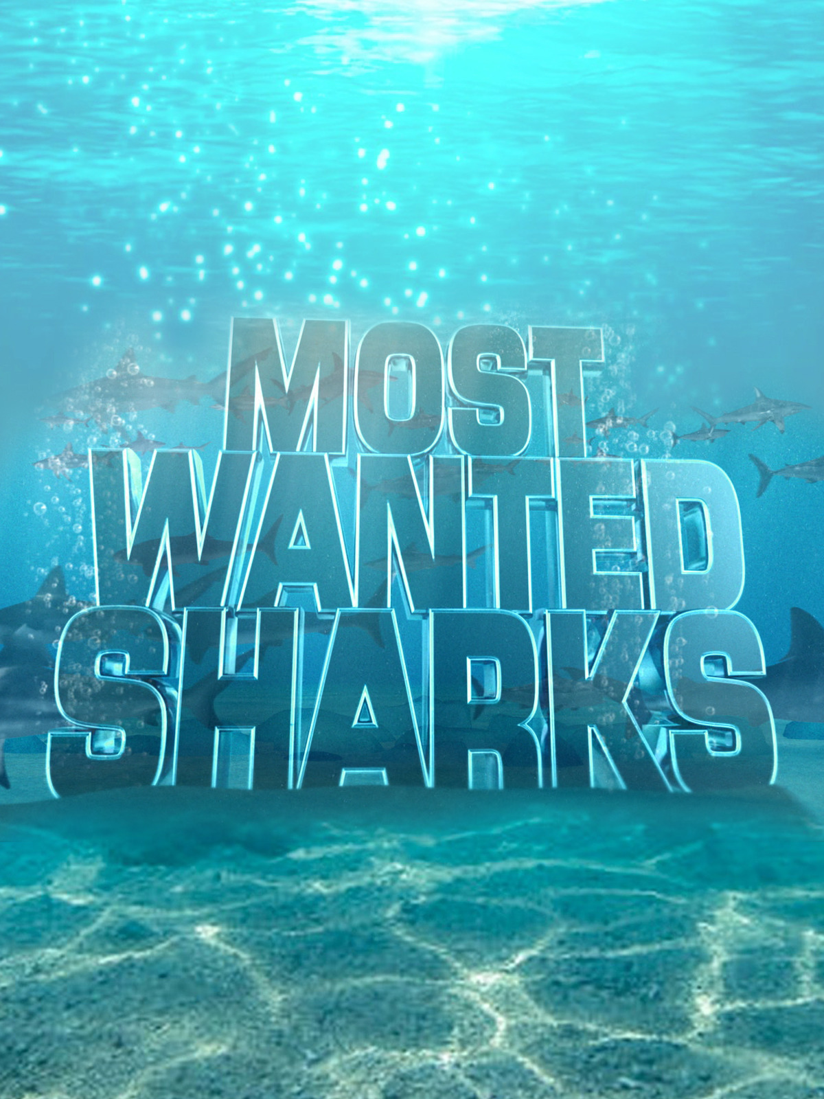 Prime Video: Most Wanted Sharks