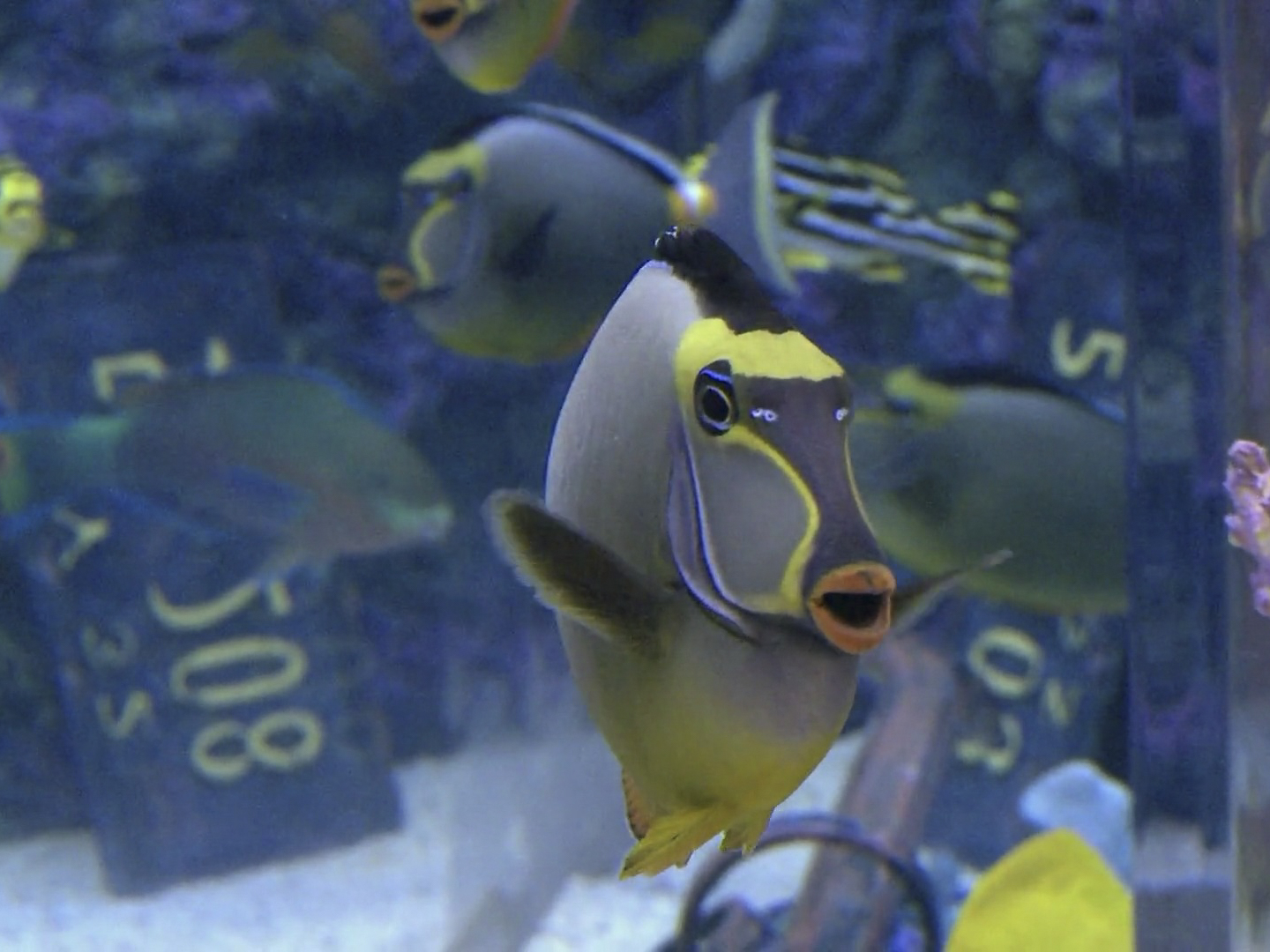 Prime Video: Tanked - Season 1