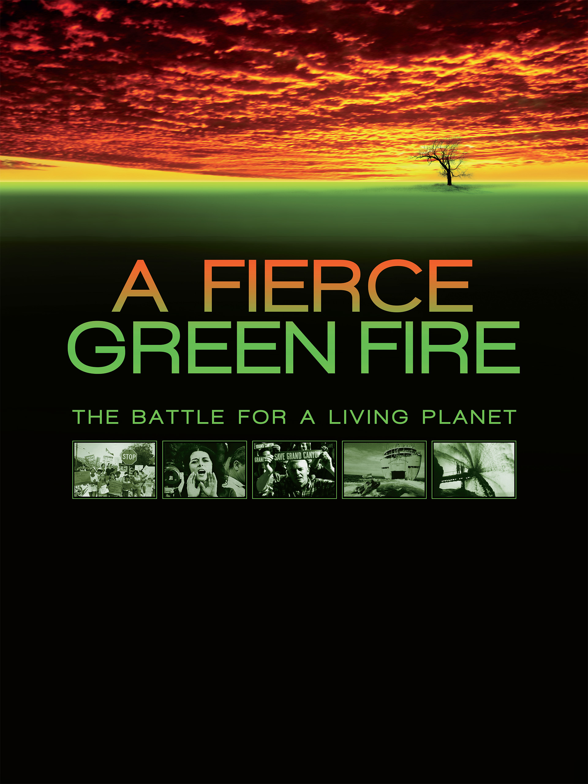 Prime Video: A Fierce Green Fire: The Battle for a Living Planet