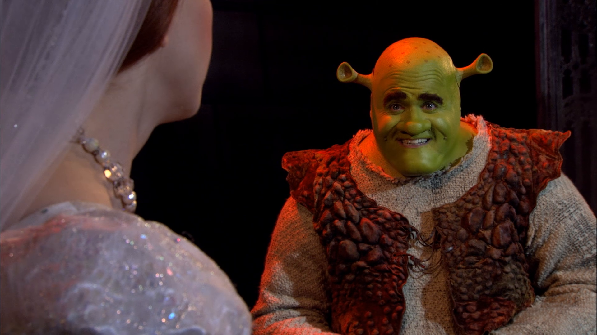 Amazon.com: Shrek the Musical : Jason Moore: Movies & TV