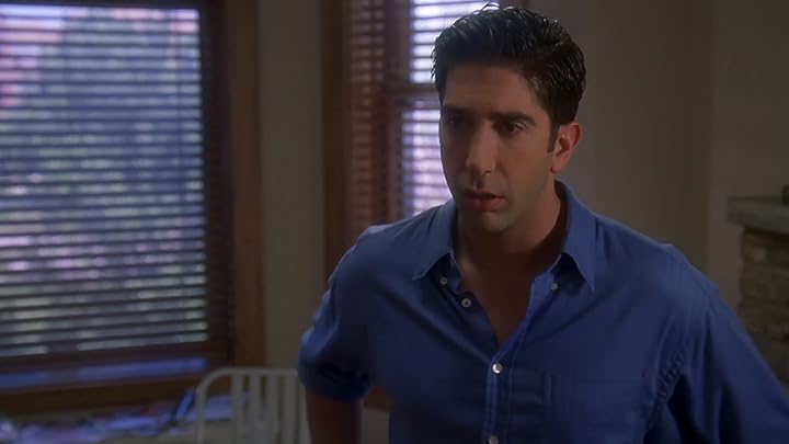 Amazon.com: Kissing A Fool : David Schwimmer, Jason Lee, Mili Avital ...