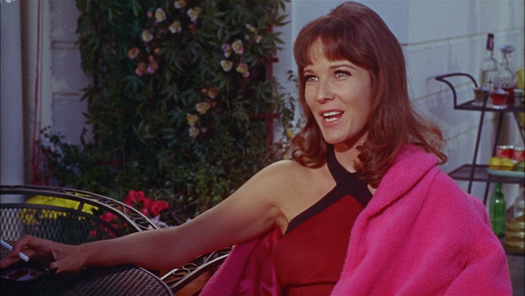 Prime Video: The Swimmer