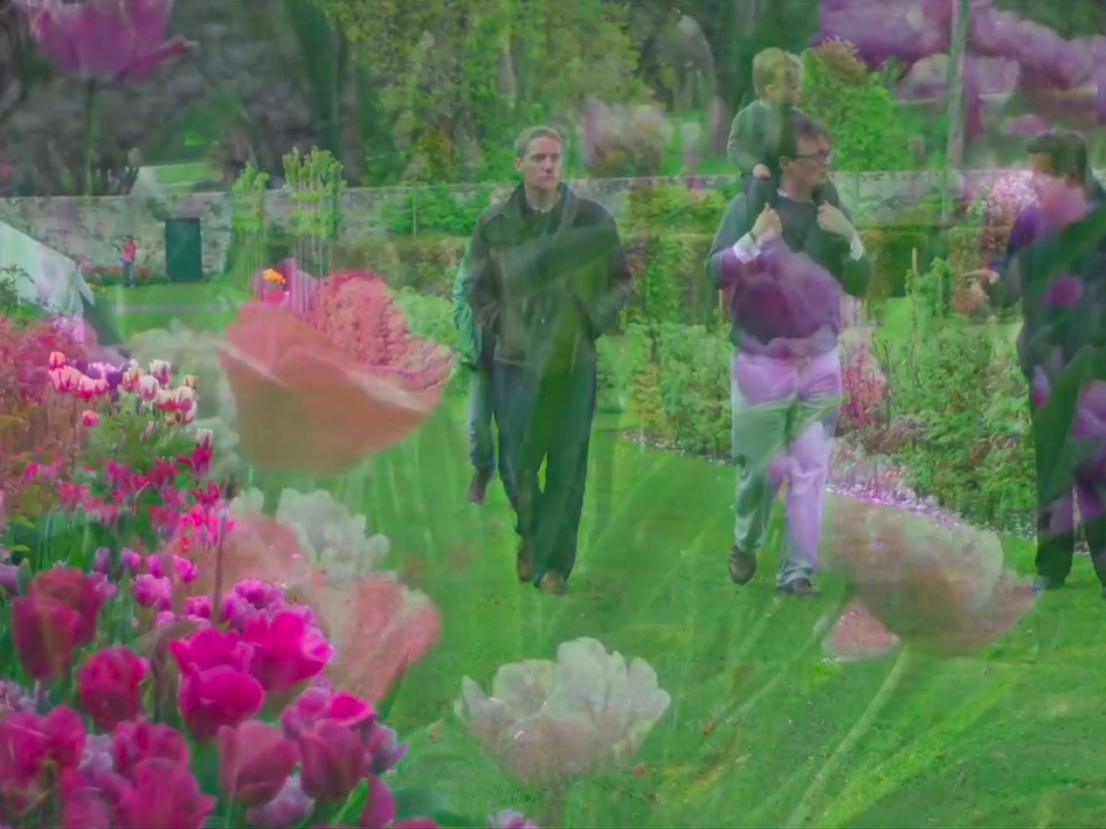 Prime Video: Two Men in a Boat: Chasing Spring