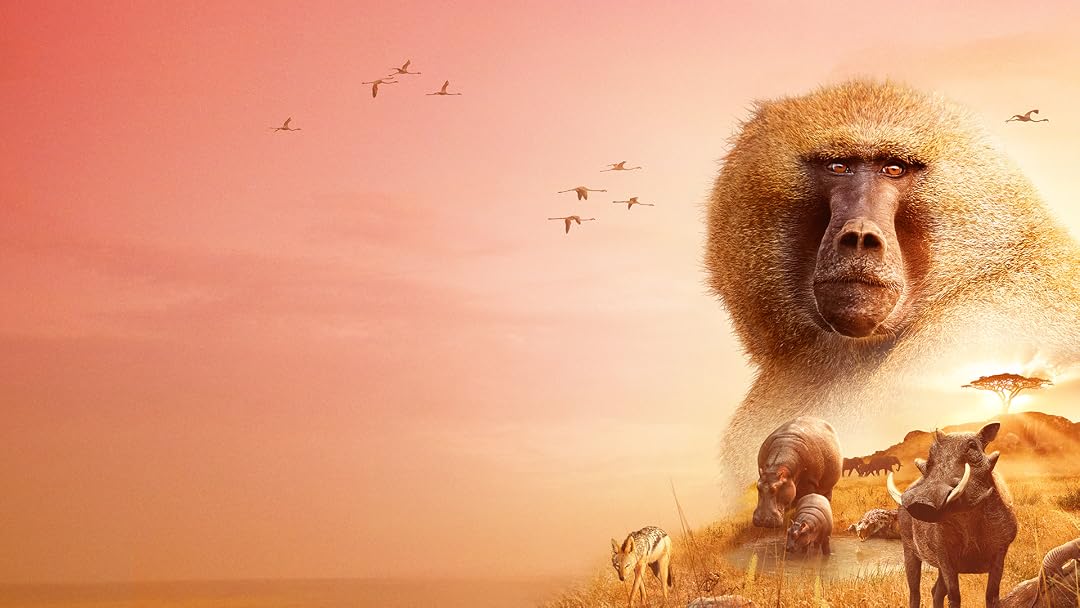 Prime Video: Serengeti S03