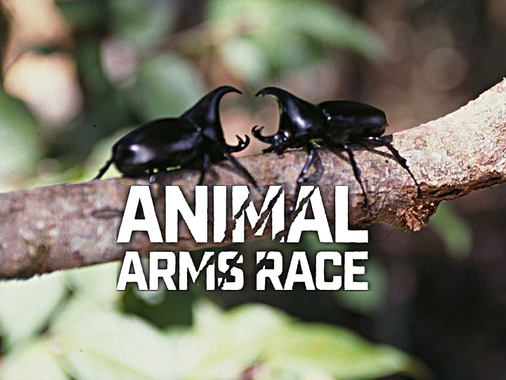 Prime Video: Animal Arms Race - Season 1