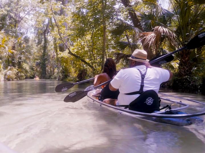 Amazon.com: The Wanderer : Alex Outhwaite, Cam Mackintosh, Regine Mont ...