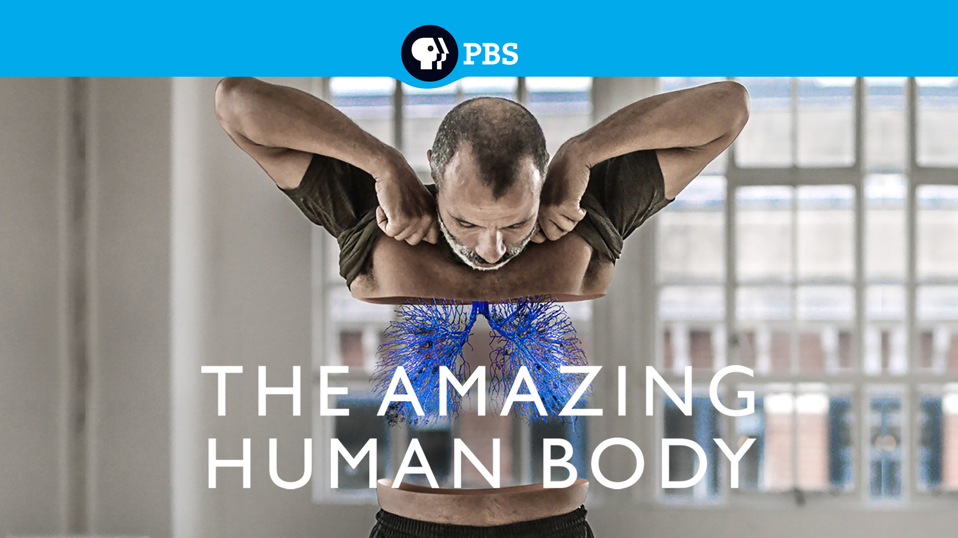 Amazon.com: Human Body : ---: Movies & TV
