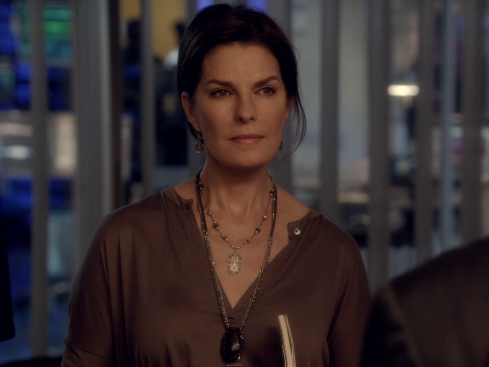 Prime Video: CSI: New York Season 9