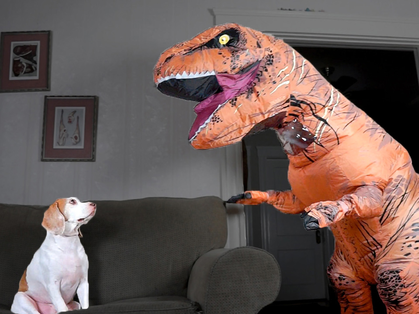 Prime Video: Maymo Gets Pranked