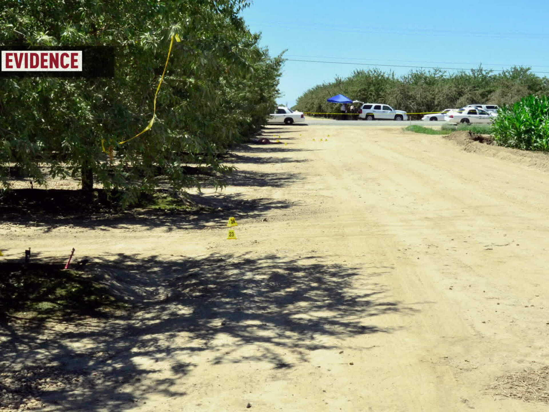 Prime Video: Snapped - Season 29