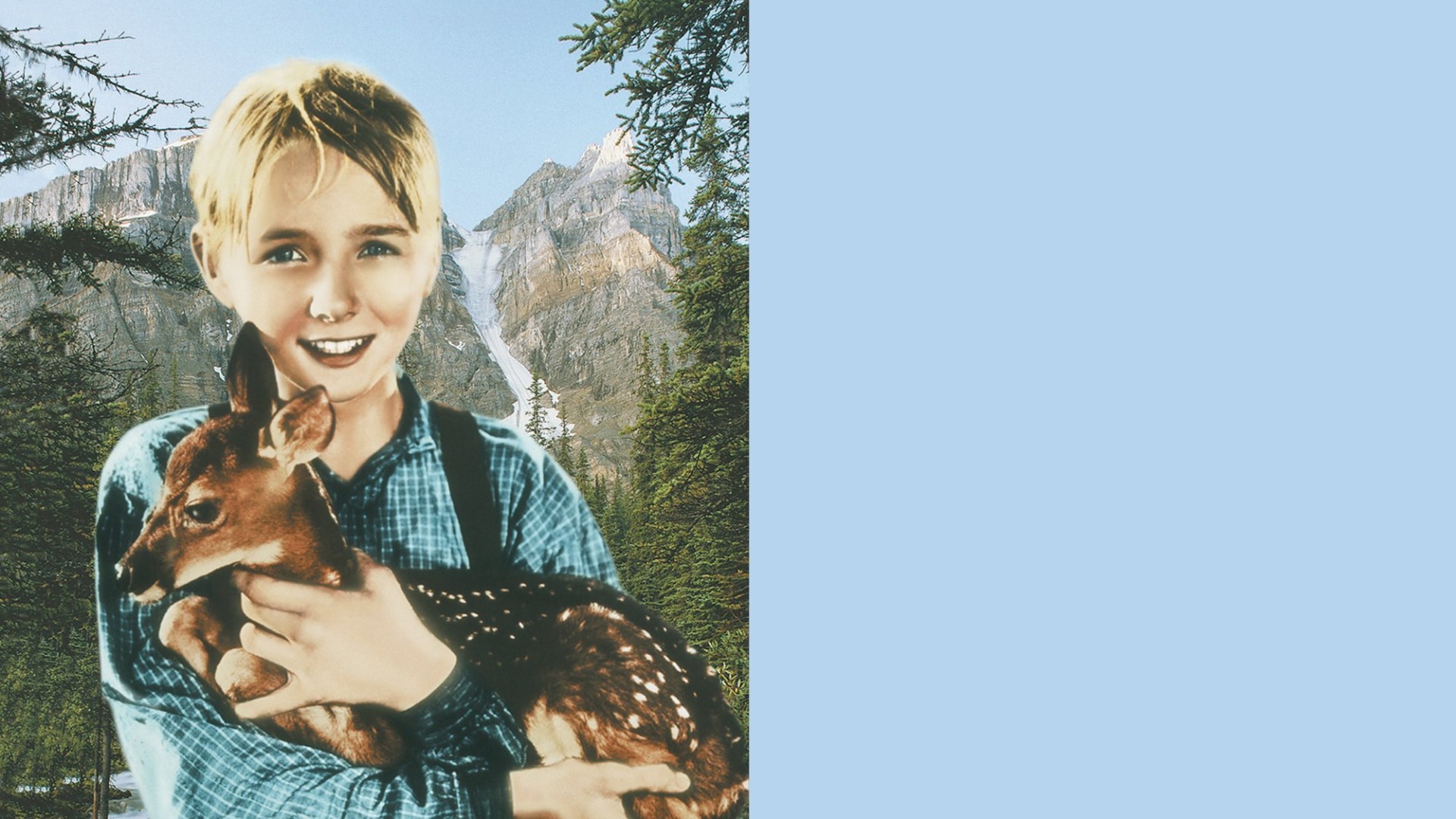 Prime Video: The Yearling (1946)