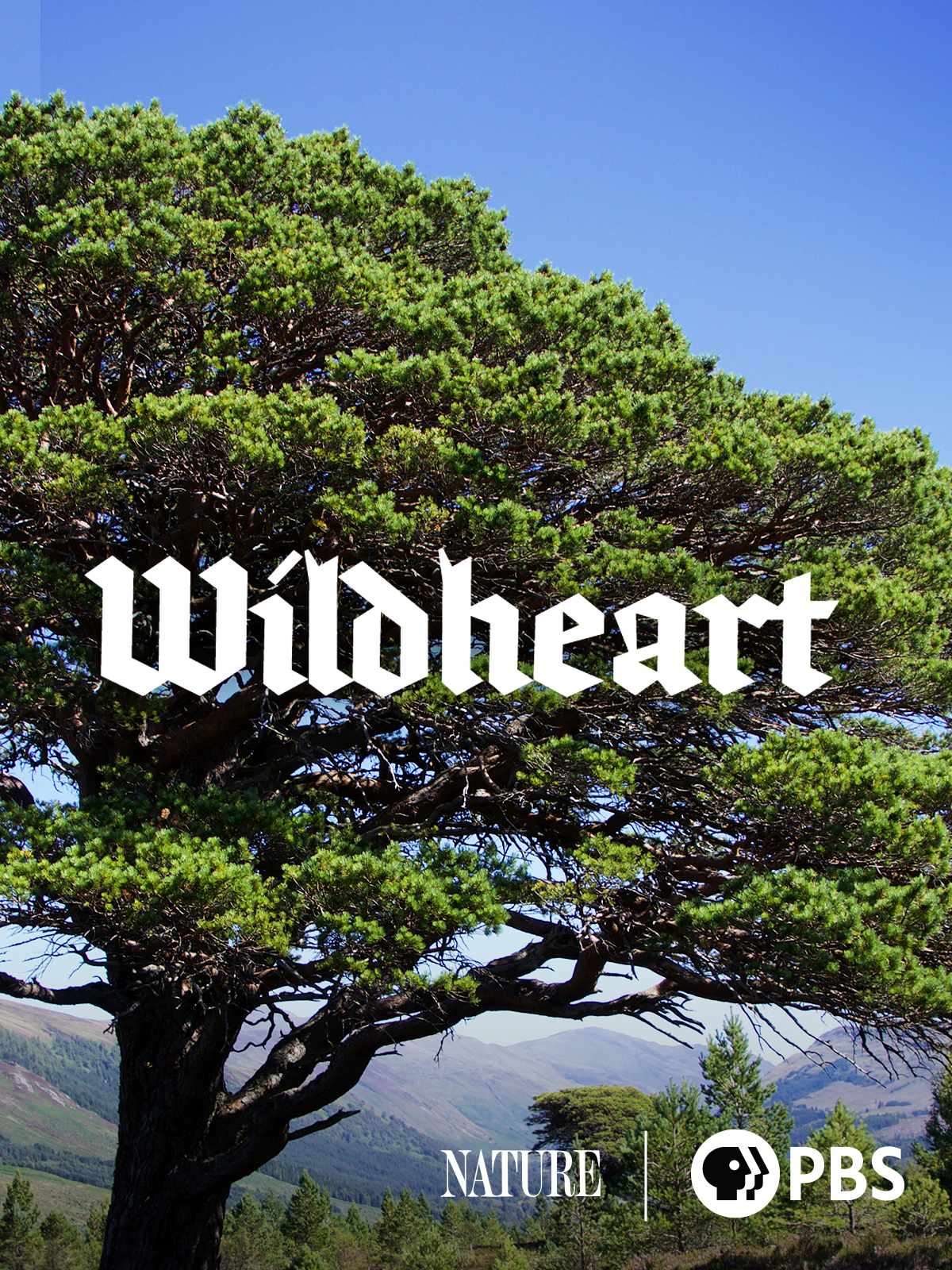 Prime Video: WildHeart