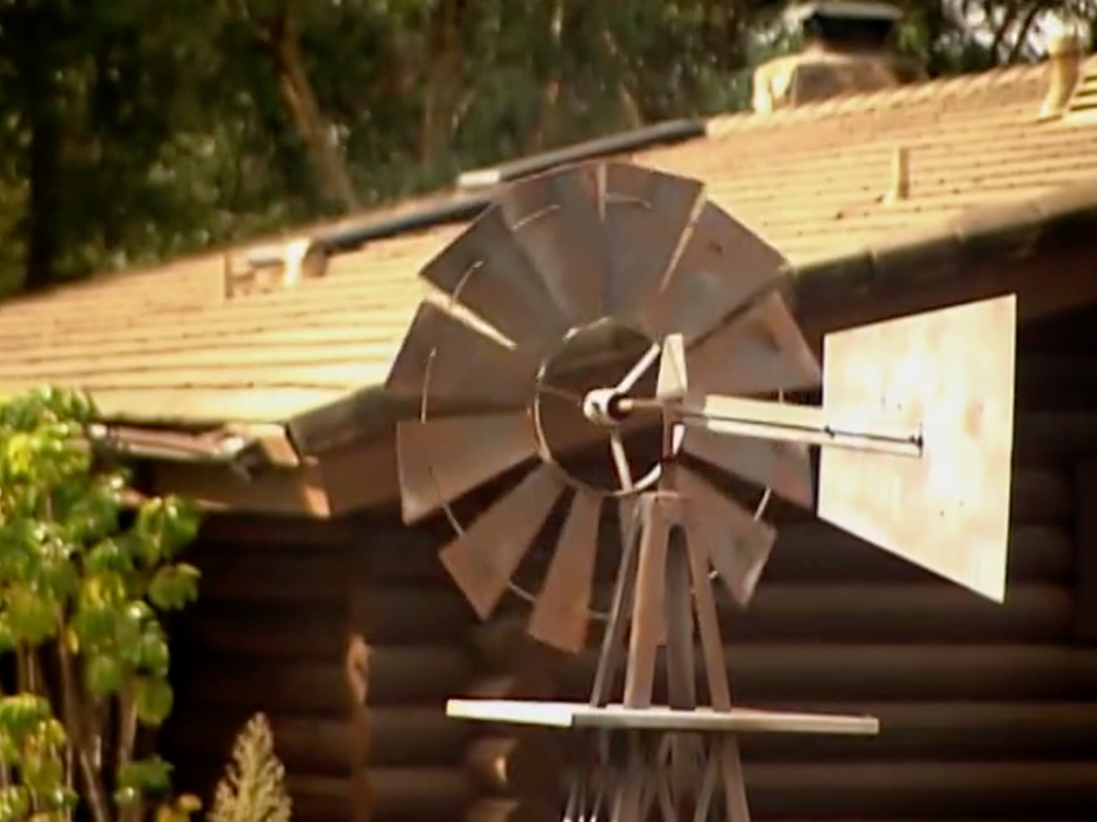 Prime Video: The X Life