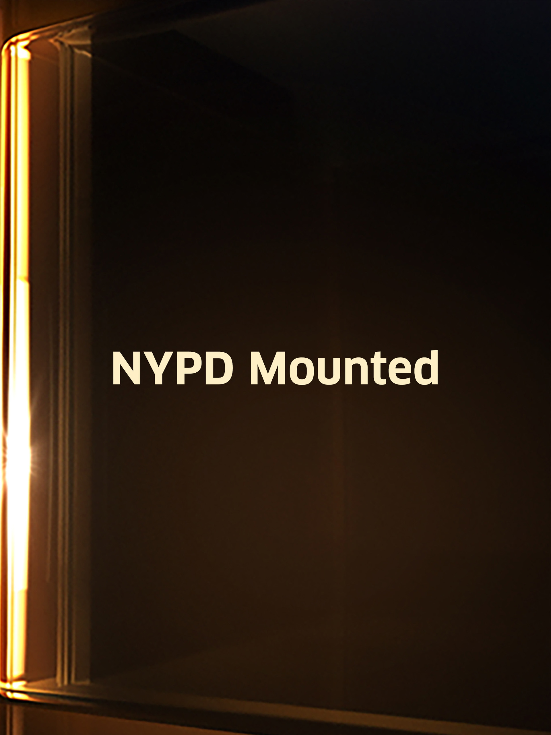 Prime Video: NYPD Mounted