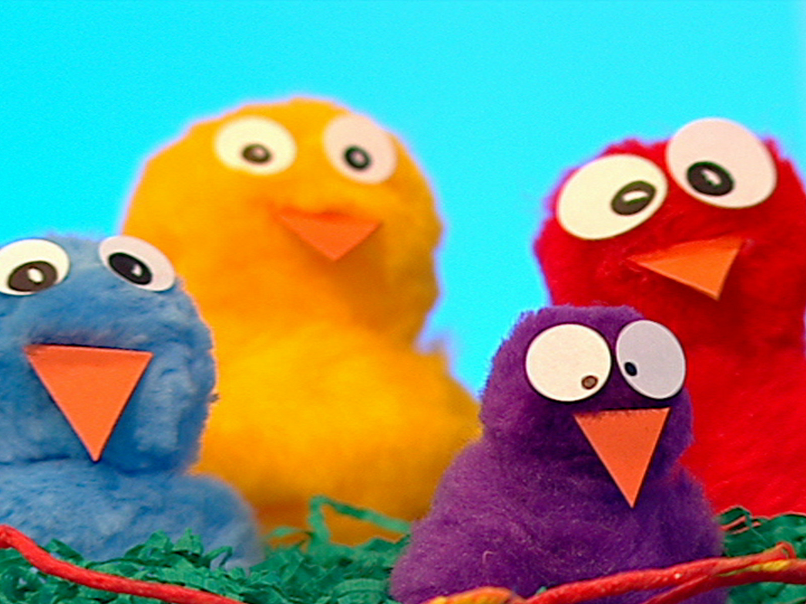 Prime Video: Mister Maker