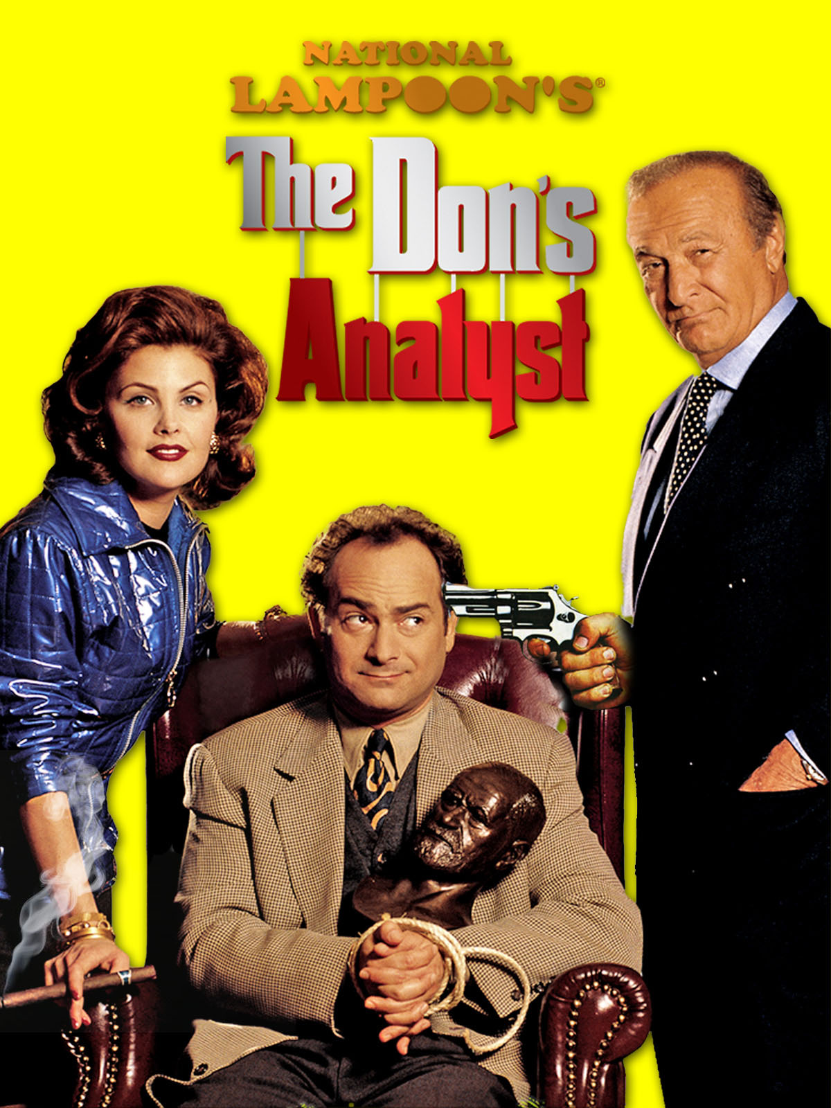 Prime Video: National Lampoon's - The Don's Analyst