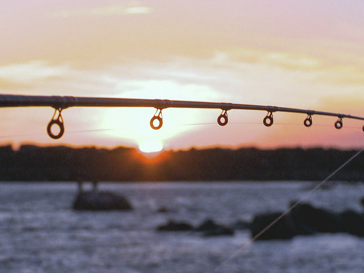 Prime Video: Body Invaders - Season 1