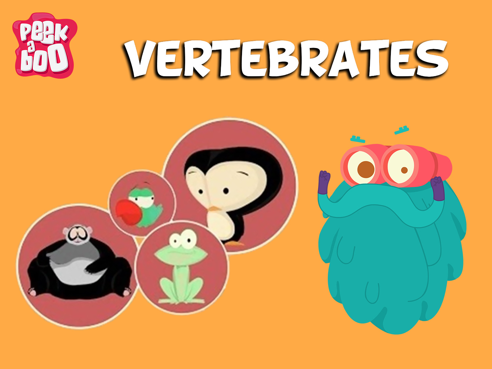 Prime Video: Dr. Binocs Show Educational Videos For Kids