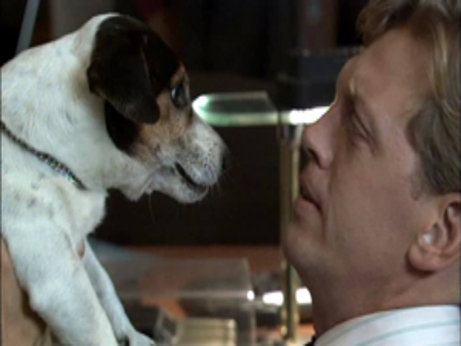 Prime Video: Sue Thomas F.B. Eye