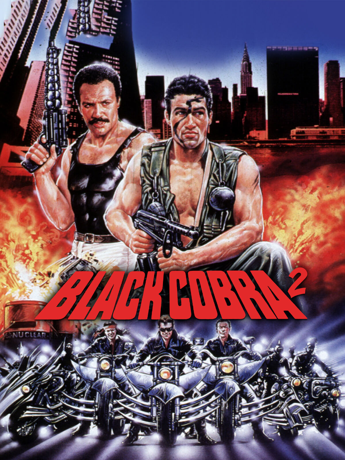 Prime Video: Black cobra 2