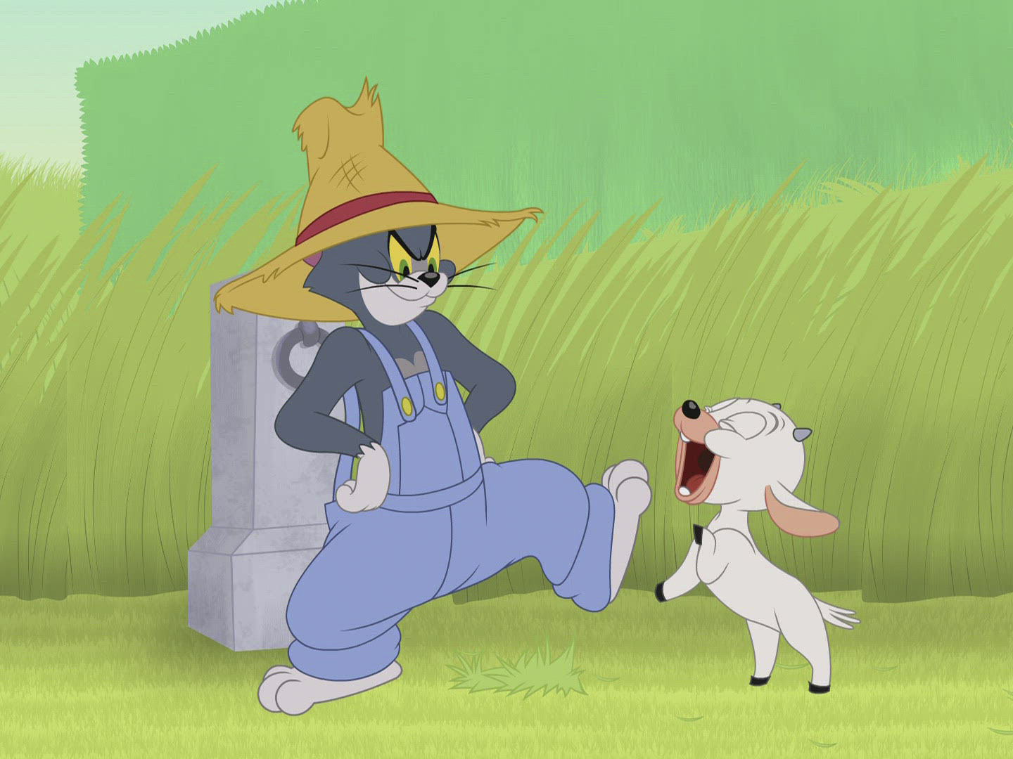 Prime Video: The Tom and Jerry Show - Season 3