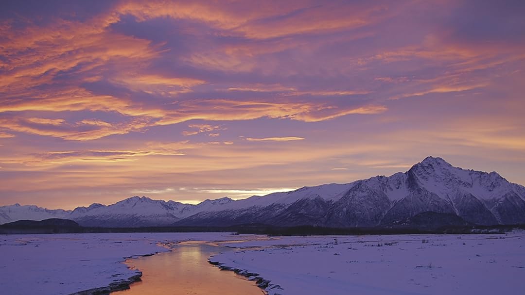 Prime Video: Building Alaska - Season 5