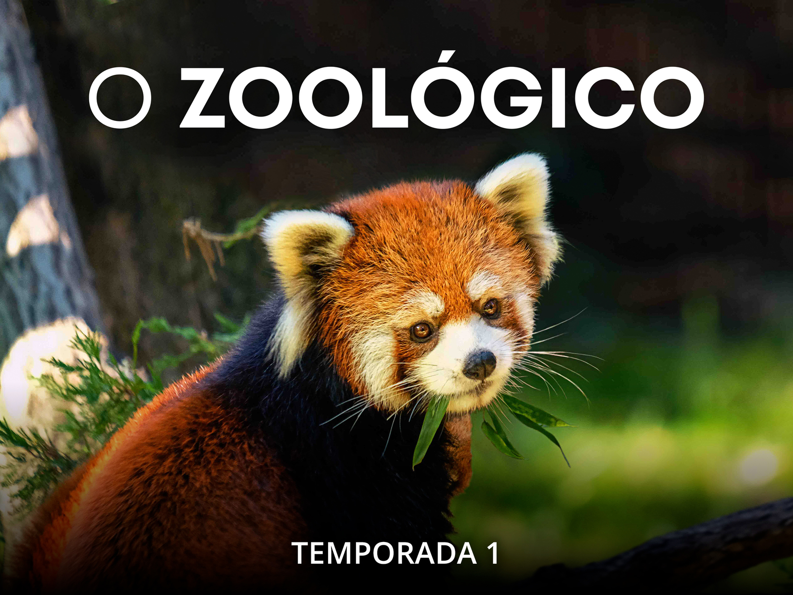 Prime Video: The Zoo - Season 1