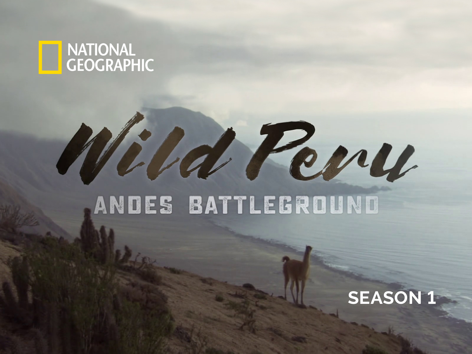 Prime Video: Wild Peru: Andes Battleground - Season 1
