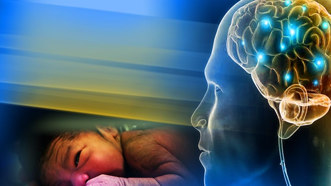 Watch Brains in Danger: What's Behind the Rise of Autism? | Prime Video