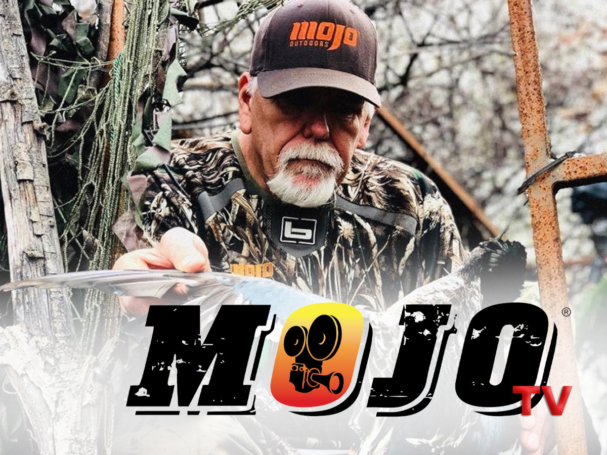 Prime Video: Mojo TV - Season 15