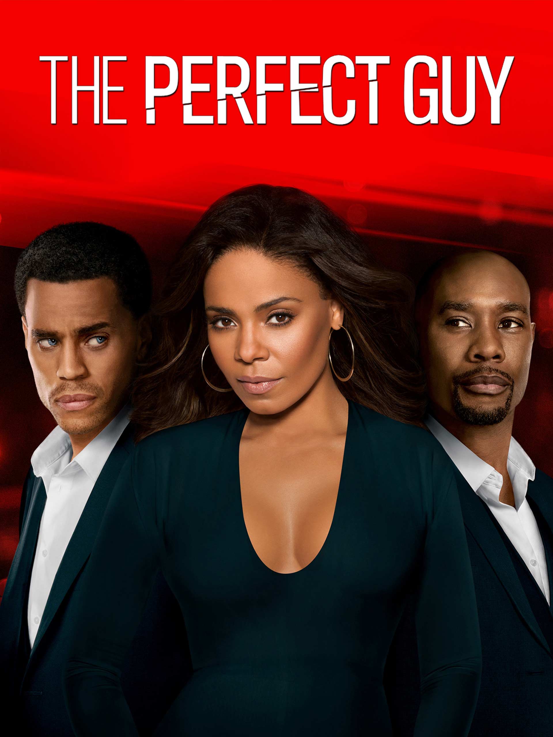 Prime Video: The Perfect Guy