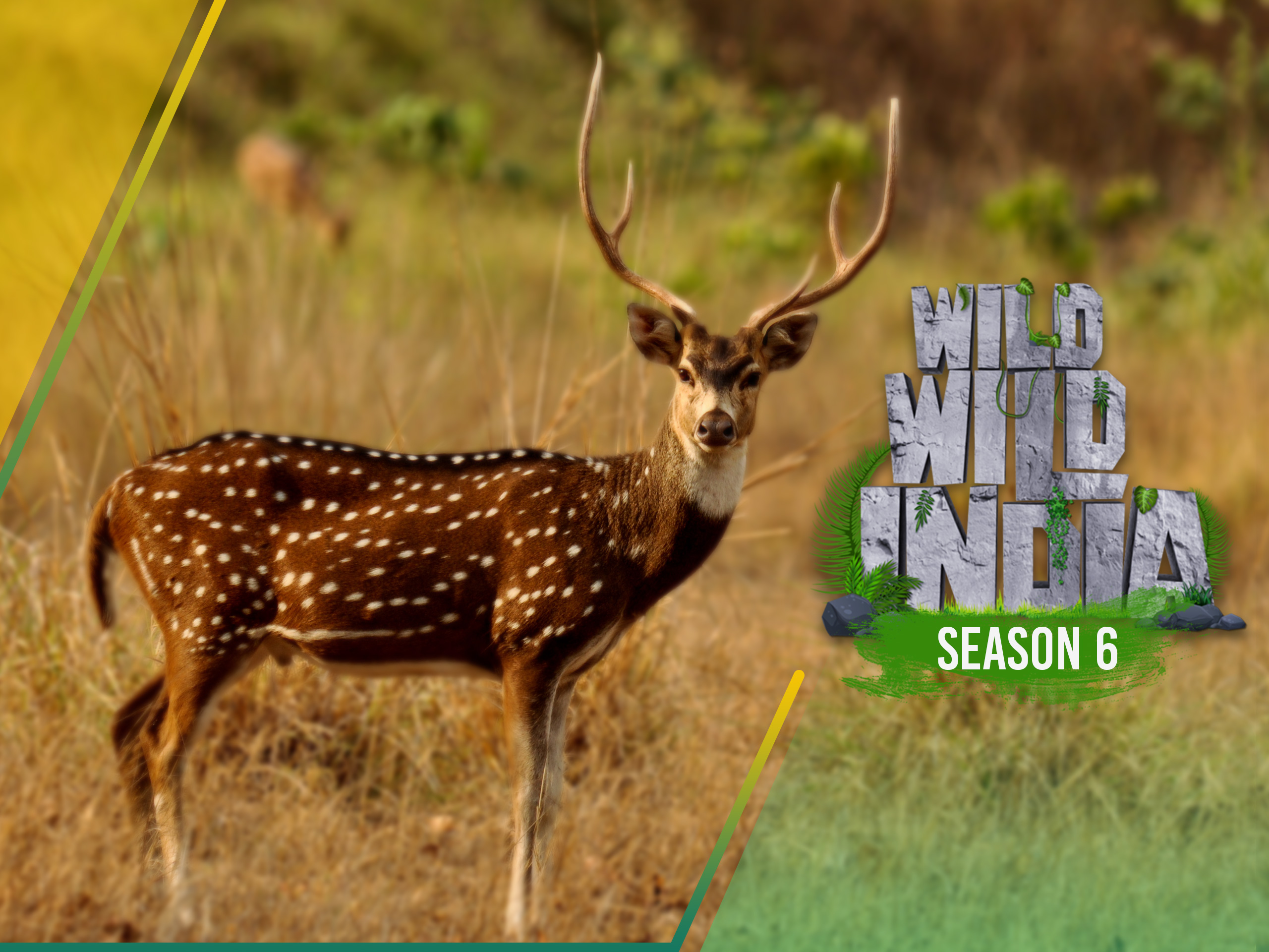 Prime Video: Wild Wild India