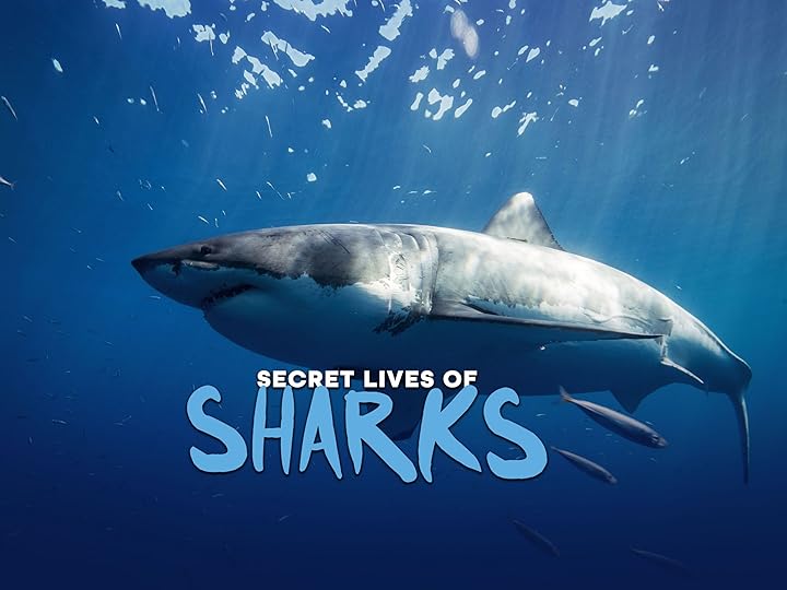 Prime Video: The Secret Lives of Sharks - Season 1