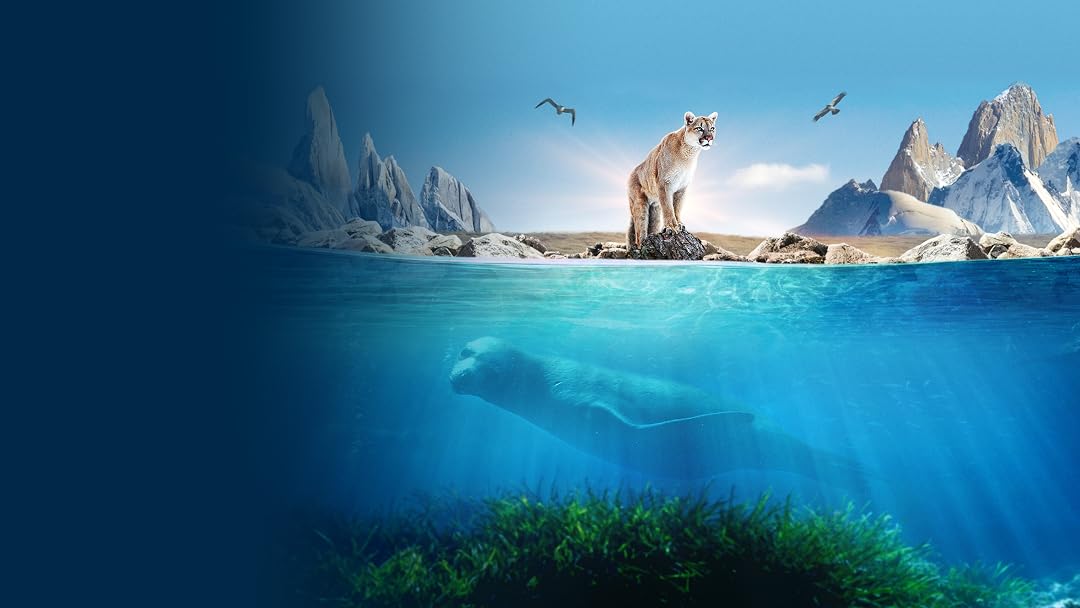 Prime Video: Patagonia: Life On the Edge of the World - Season 1