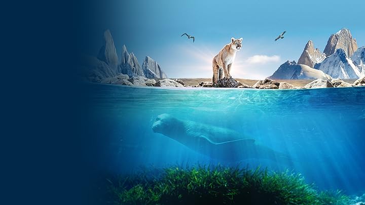 Prime Video: Patagonia: Life On the Edge of the World - Season 1