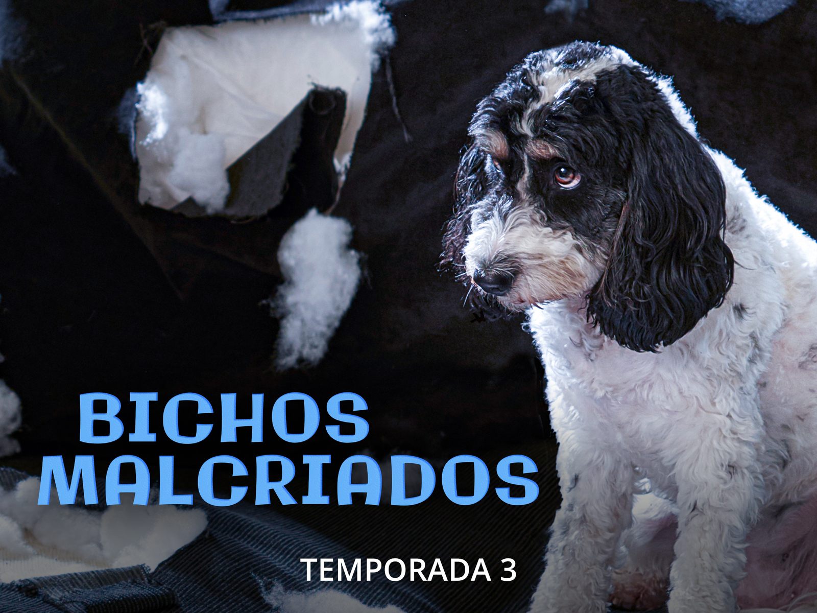 Prime Video: Bad Dog - Season 3