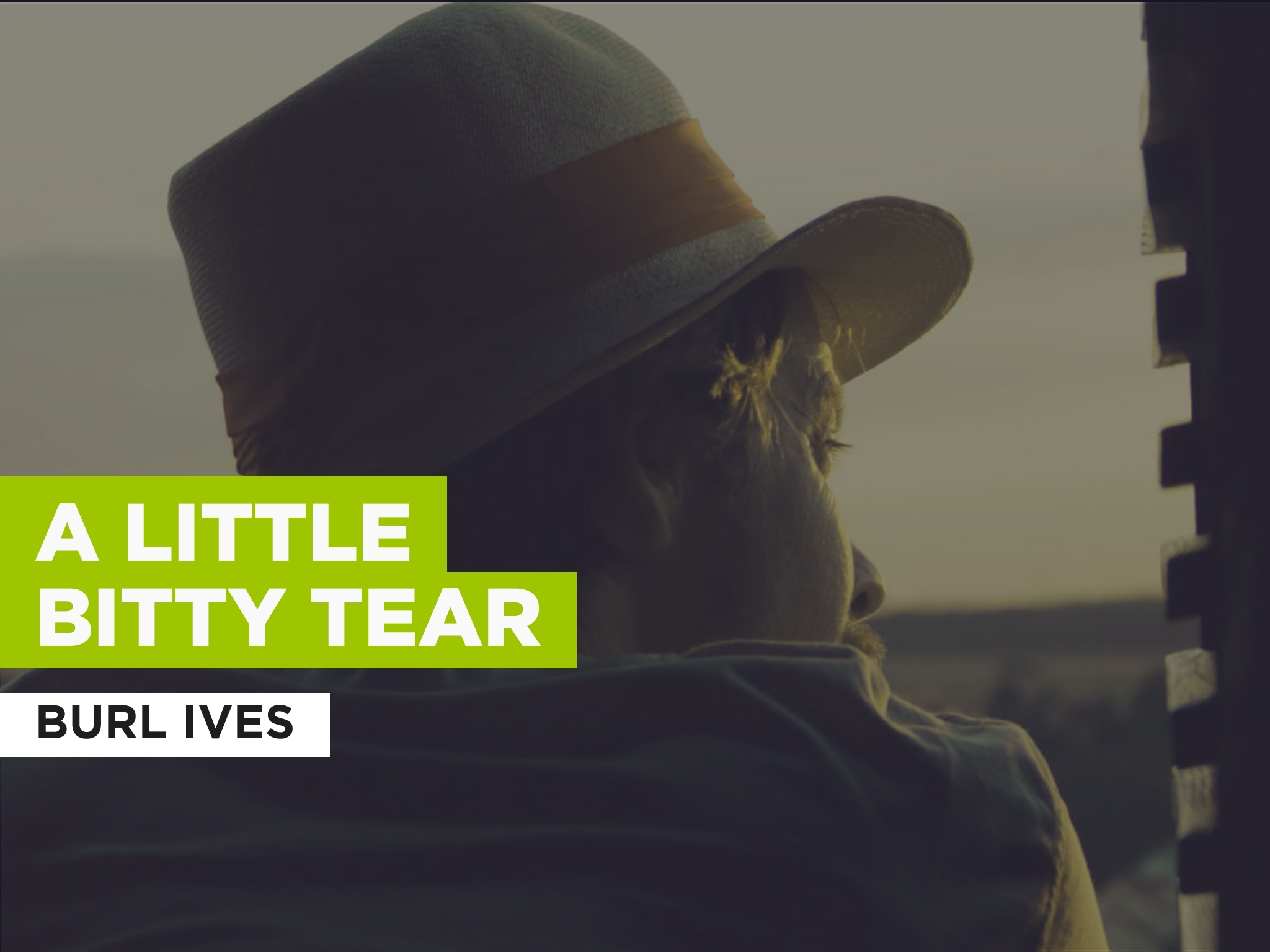 Prime Video: A Little Bitty Tear in the Style of Burl Ives