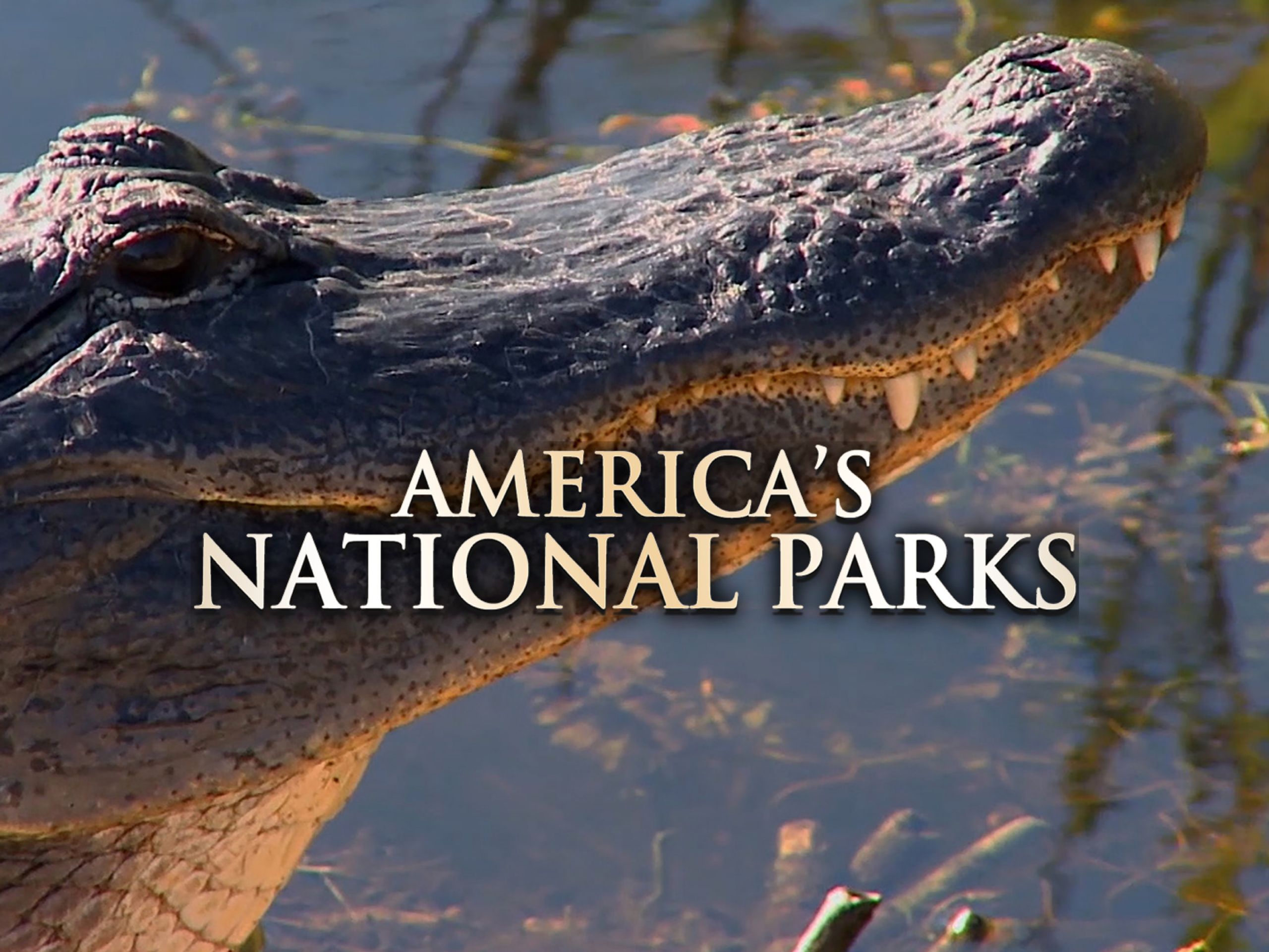 Prime Video: America's National Parks - Season 1