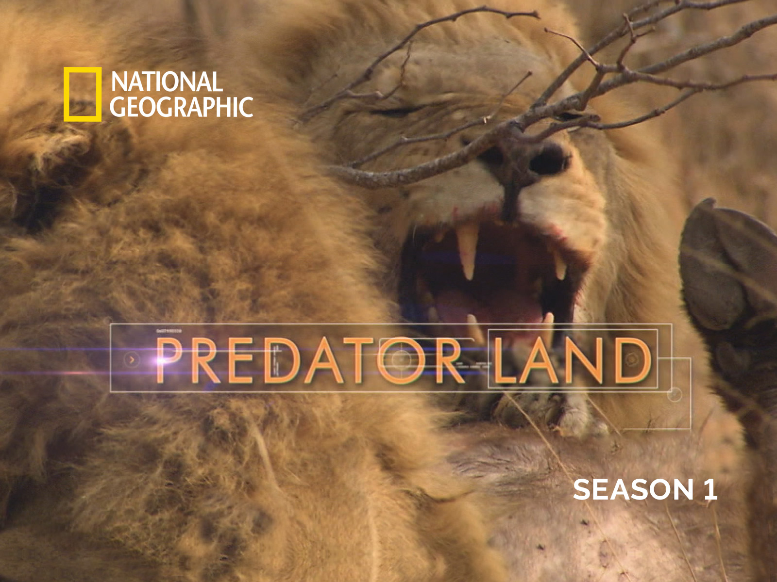 Prime Video: Predator Land - Season 1