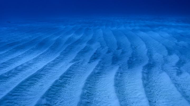 Watch Jonathan Bird's Blue World | Prime Video