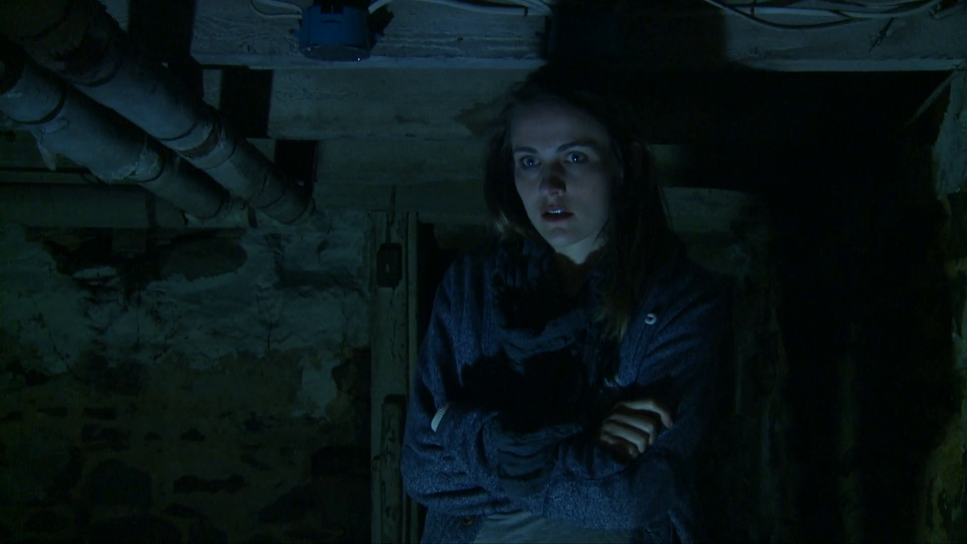 Prime Video: Hell House LLC