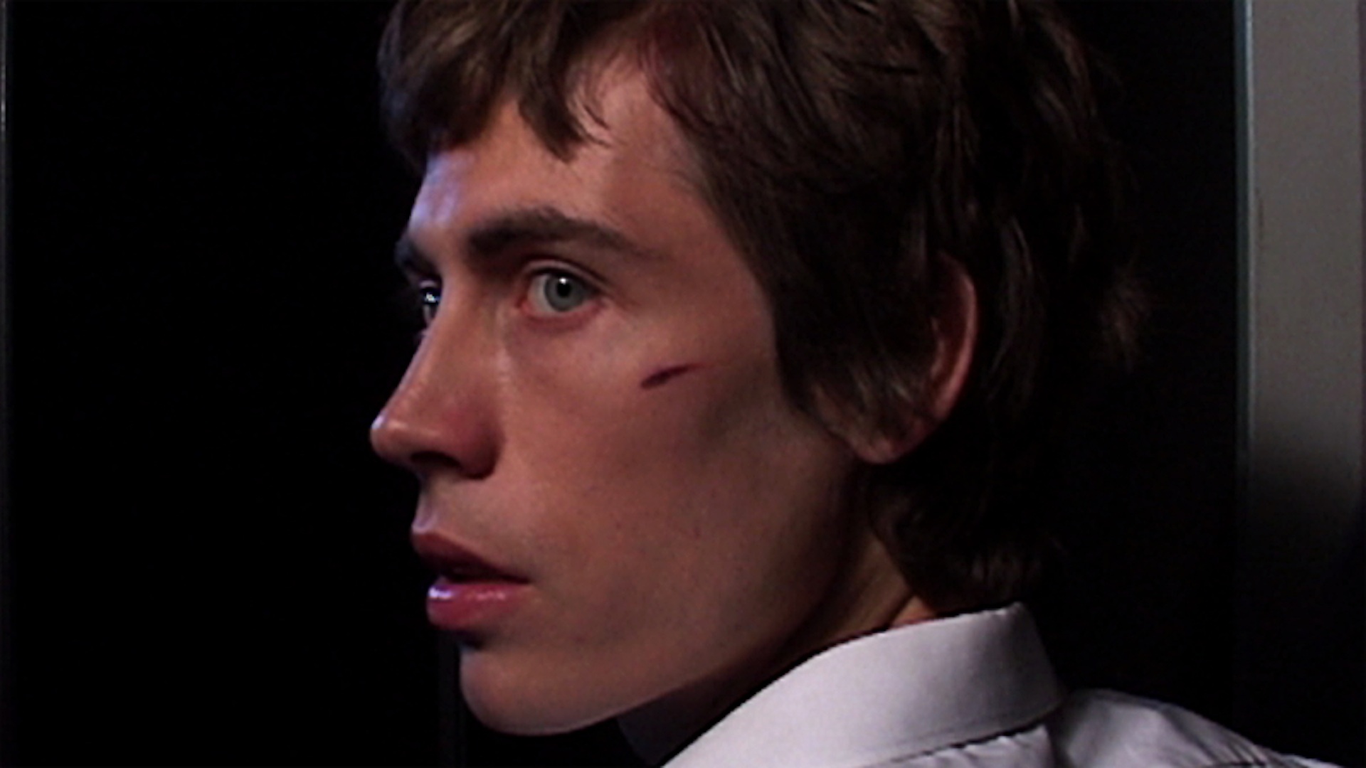 Amazon.co.jp: Shots 1.2 : Martin Moeller, Beatrice Kaps-Zurmahr ...