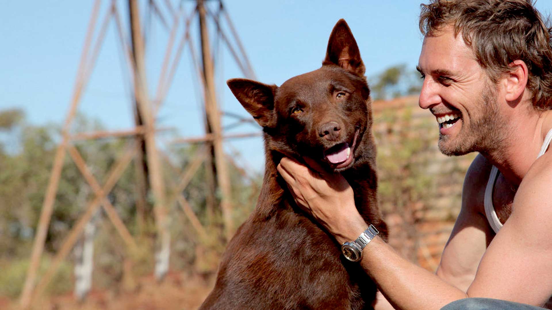 Was Red Dog Based On A True Story