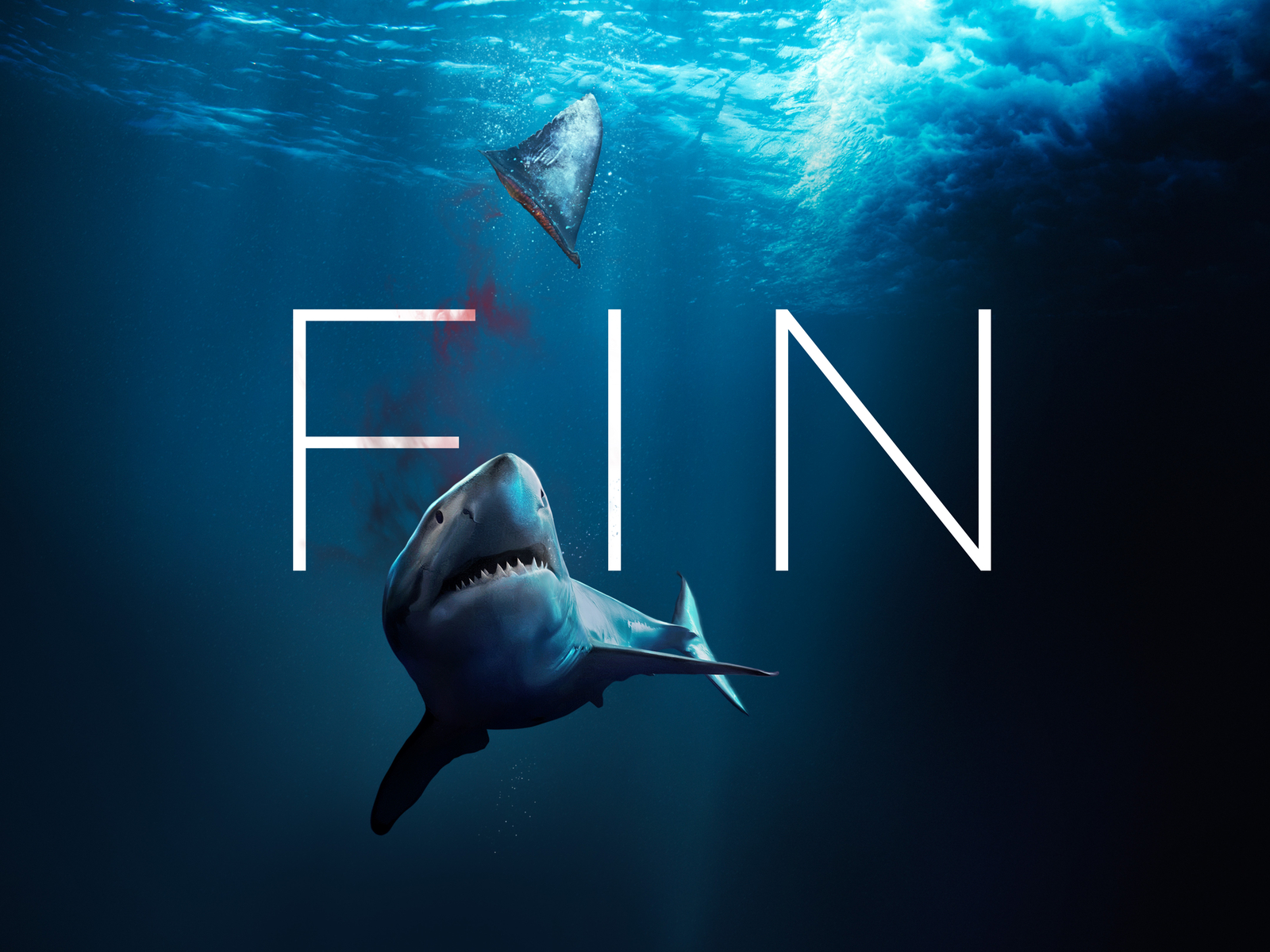 Prime Video: Fin - Season 1