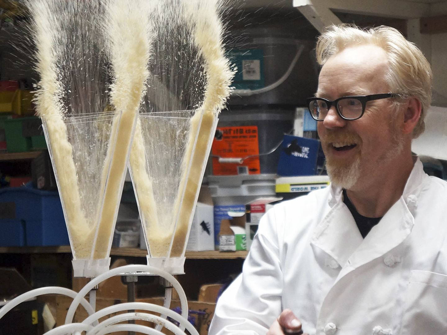 Prime Video: MythBusters - Season 19