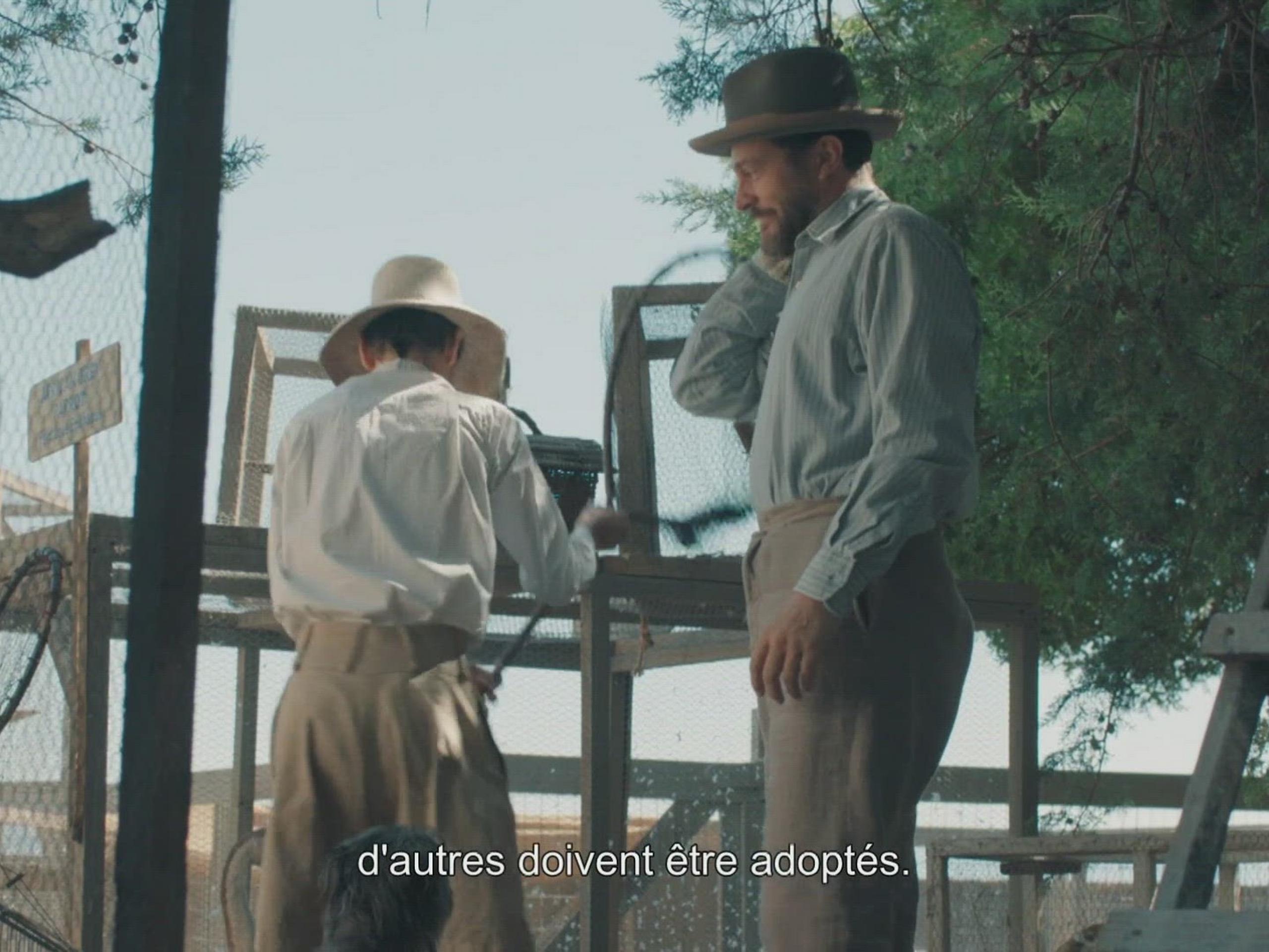 Prime Video: La folle aventure des Durrell - Saison 4