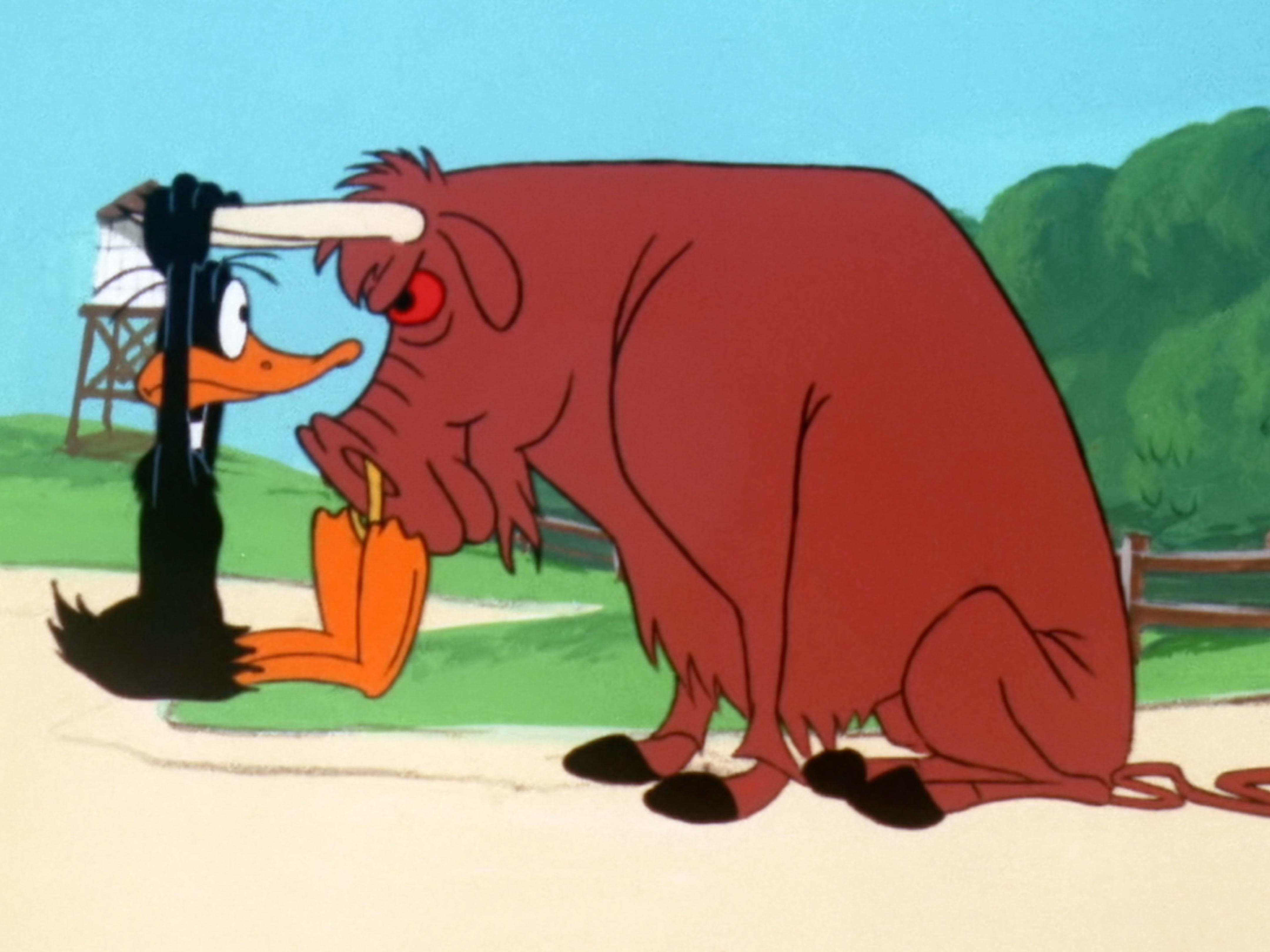 Prime Video: Looney Tunes - Season 31