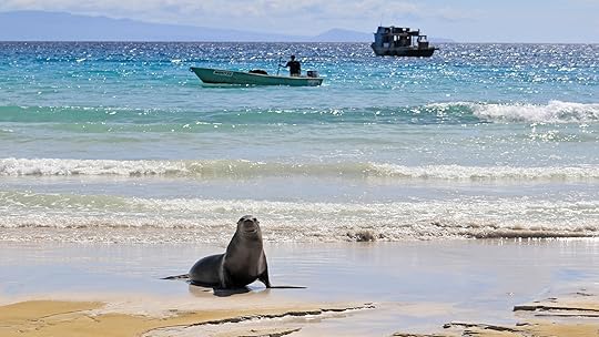 Watch Isabela | Prime Video